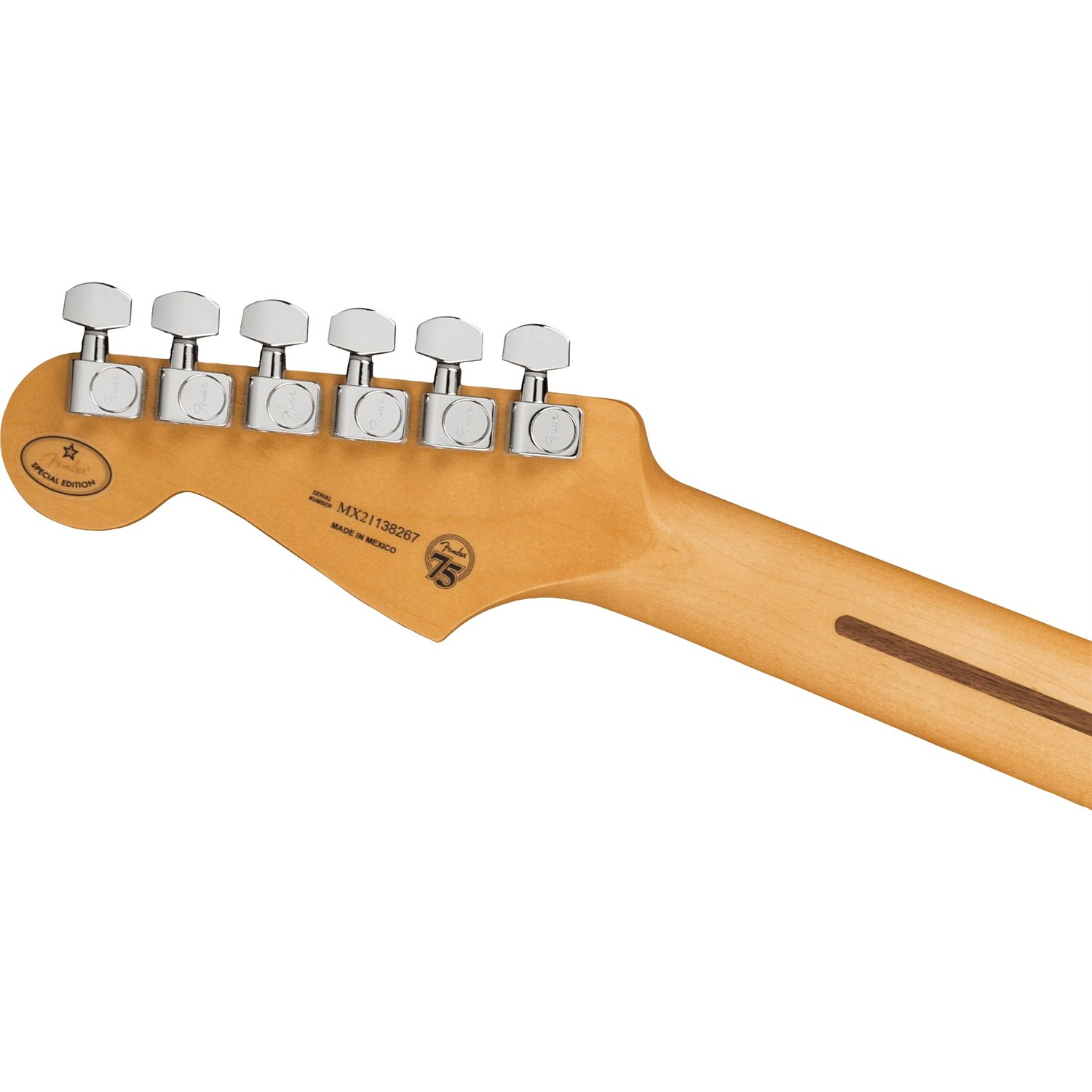 FENDER - Limited Edition Player Stratocaster® HSS, Touche en érable ...